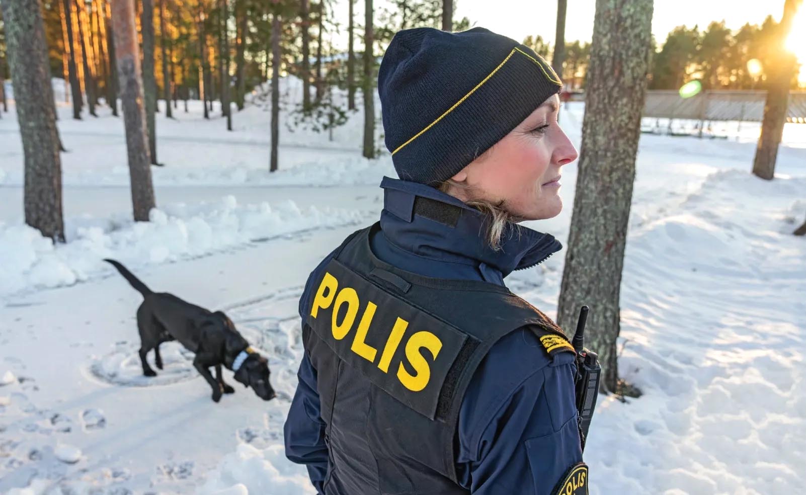 Hur arbetar en polishund på en brottsplats?